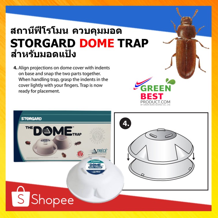 สถานีฟีโรโมน ควบคุมมอดแป้ง สตรองการ์ด โดม สำหรับแป้ง STORGARD DOME for ...