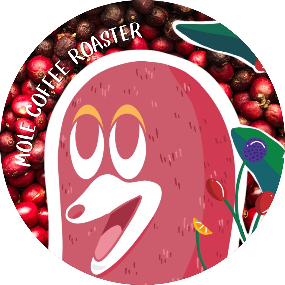 Mole Coffee เมล็ดกาแฟคั่ว เบลน บราซิล ลาว คั่วกลาง ถูก คุ้มค่า ส่งไว ...