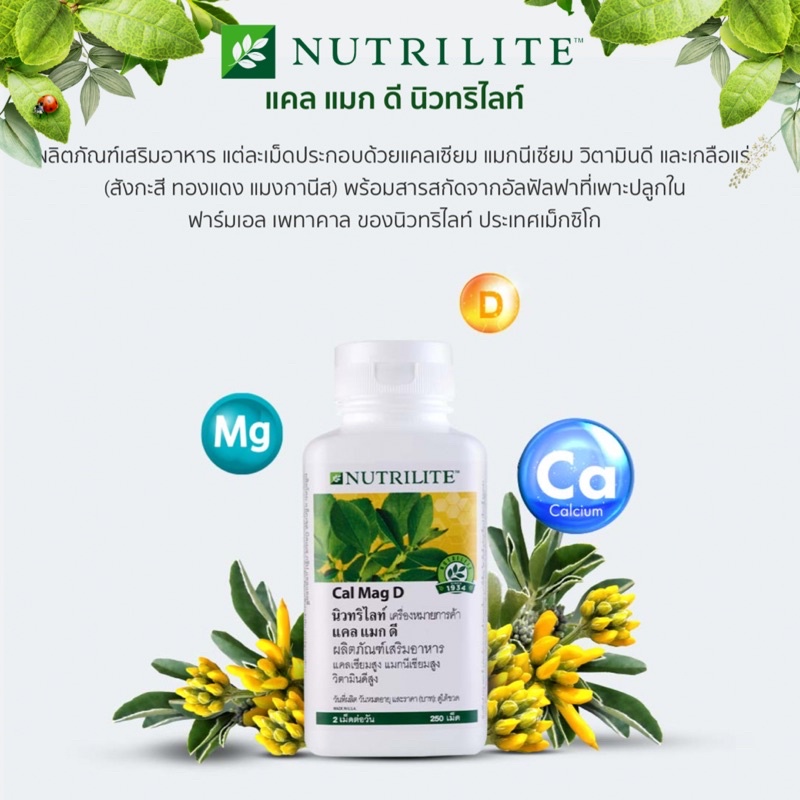 Amway Nutrilite Cal Mag D แคล แมก ดี นิวทริไลท์ (บรรจุ 250 เม็ด) - kin ...