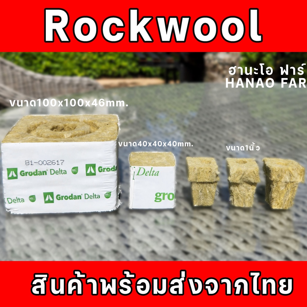 Rockwool 1inch 1.5inch 4inch ร็อควูล 110 ชิ้น เพาะปลูกต้นกล้าเมล็ดพันธ์ ...