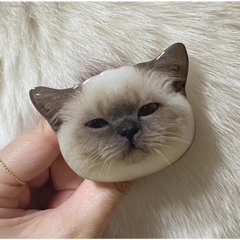 Ddang ถูกที่สุด พร้อมโปรโมชั่น ธ.ค. 2022|BigGoเช็คราคาง่ายๆ