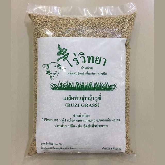 เมล็ดพันธ์ดีเมล็ดพันธุ์หญ้ารูซี่ 1 กิโลกรัม เกรดส่งออก Ruzi Grass จาก ...