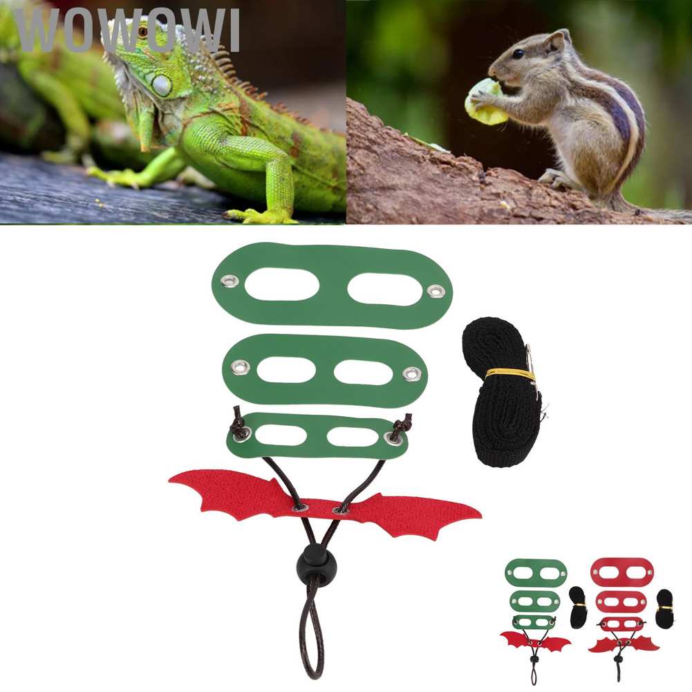Wowowi Pet Traction Rope Adjustable Bearded Dragon Lizard Leash Harness ...