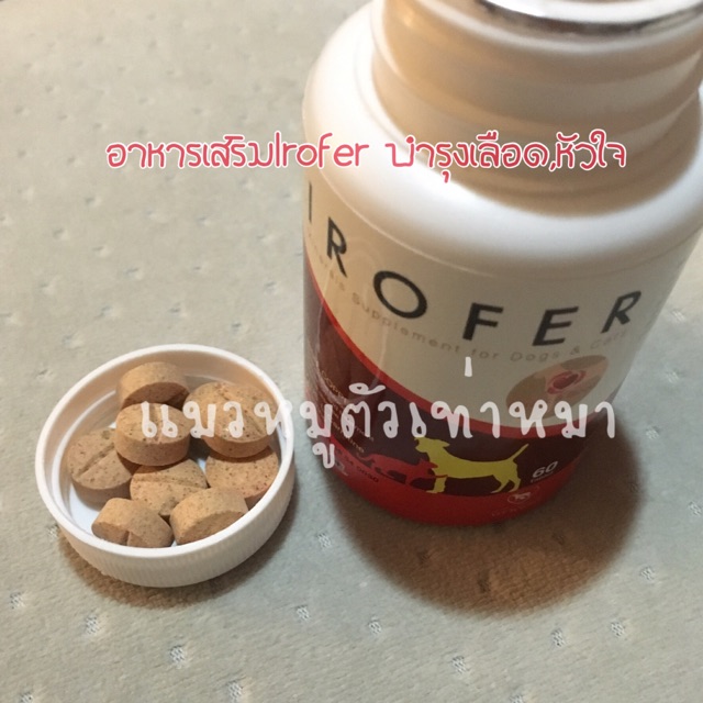 วิตามินบำรุงเลือดสุขภาพและหัวใจIrofer ไอโรเฟอร์ - cattygift - ThaiPick