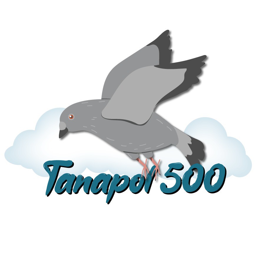 tanapol 500, ร้านค้าออนไลน์ | Shopee Thailand