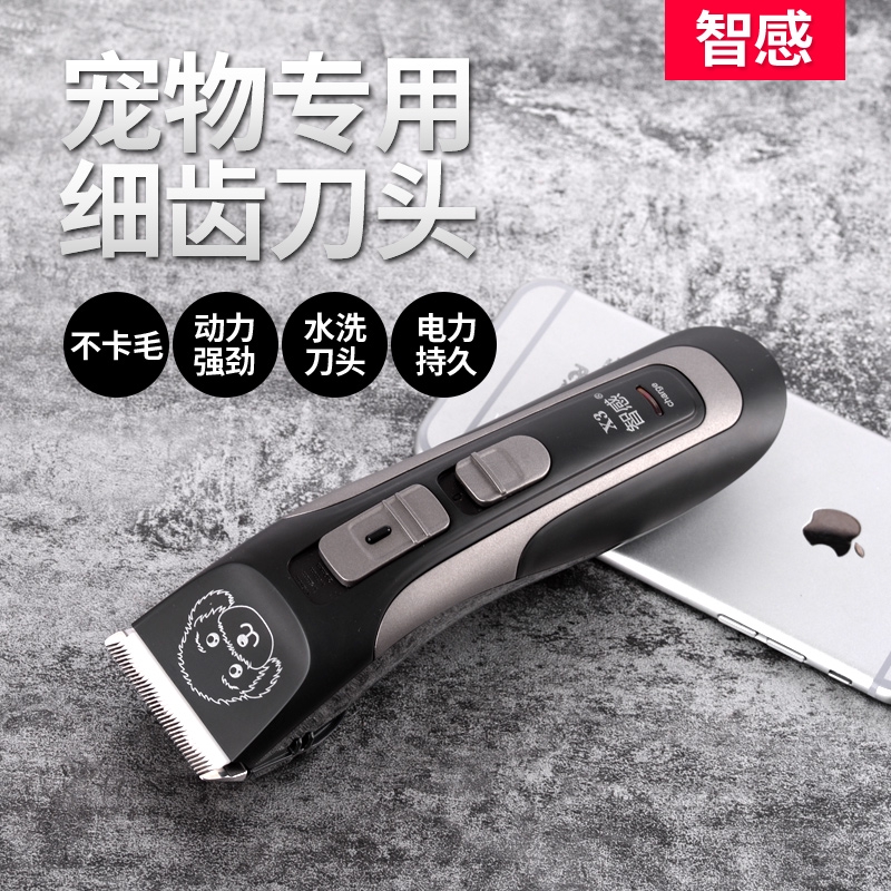 ปัตตาเลี่ยนสัตว์เลี้ยงสัตว์เลี้ยง Clipper Satsuma ปัตตาเลี่ยนสัตว์ ...