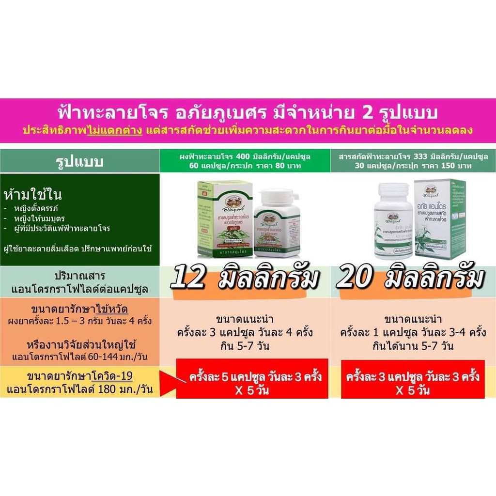 ยาฟ้าทะลายโจร อภัยภูเบศร 60 แคปซูลABHAI ANDRO อภัยภูเบศร อภัย แอนโดร ยาแคปซูล สารสกัดฟ้าทะลายโจร ...