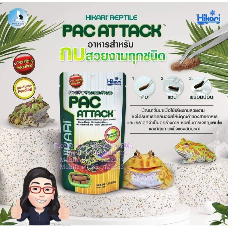 HIKARI Reptile Pac Attack อาหารสูตพิเศษสำหรับกบฮอร์นฟรอก Pac Attack ...