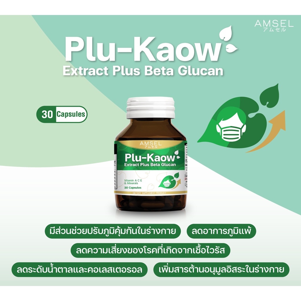 เซ็ตเสริมภูมิ 3 ชิ้น Amsel Plu-kaowZincNature C60 - amsel.official ...