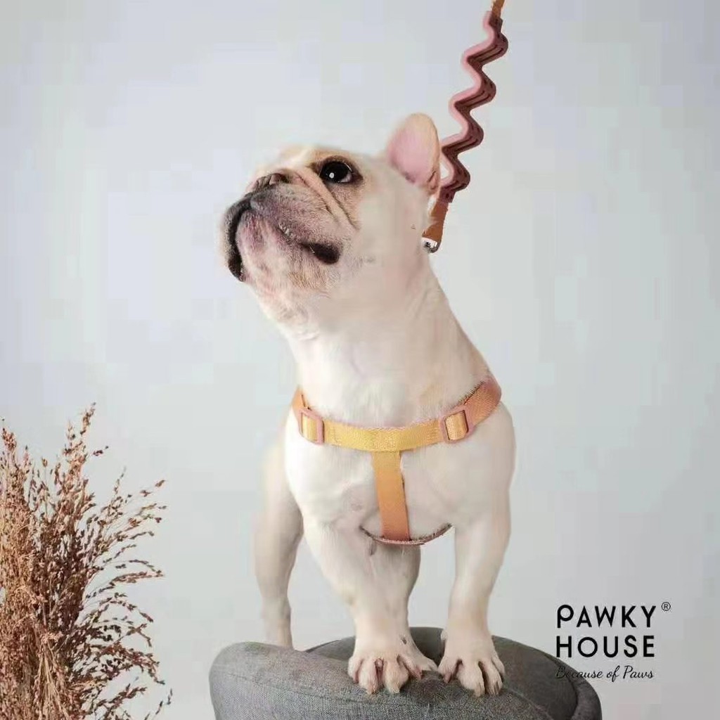Pawky House สายจูงลดแรงกระชากMultifunction Leash - arinasara - ThaiPick