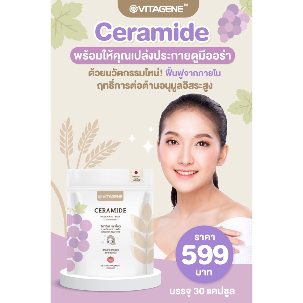 วิตาจิเน่ เซราไมด์ สารสกัดจากข้าว พลัส (VITAGENE Ceramide Rice Extract ...