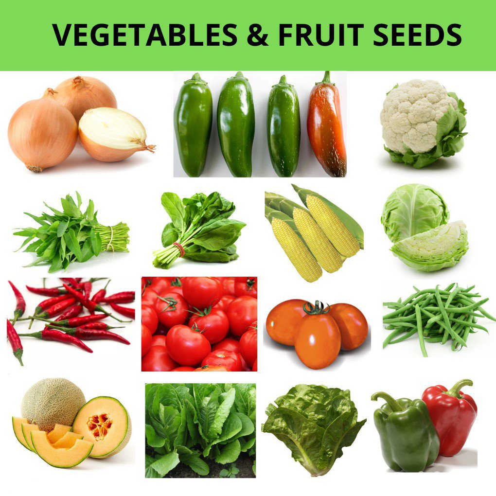 UPO Seeds 3grams 15-25 pcs Bottle Gourd Tambuli Vegetables Fruit Herbs ...