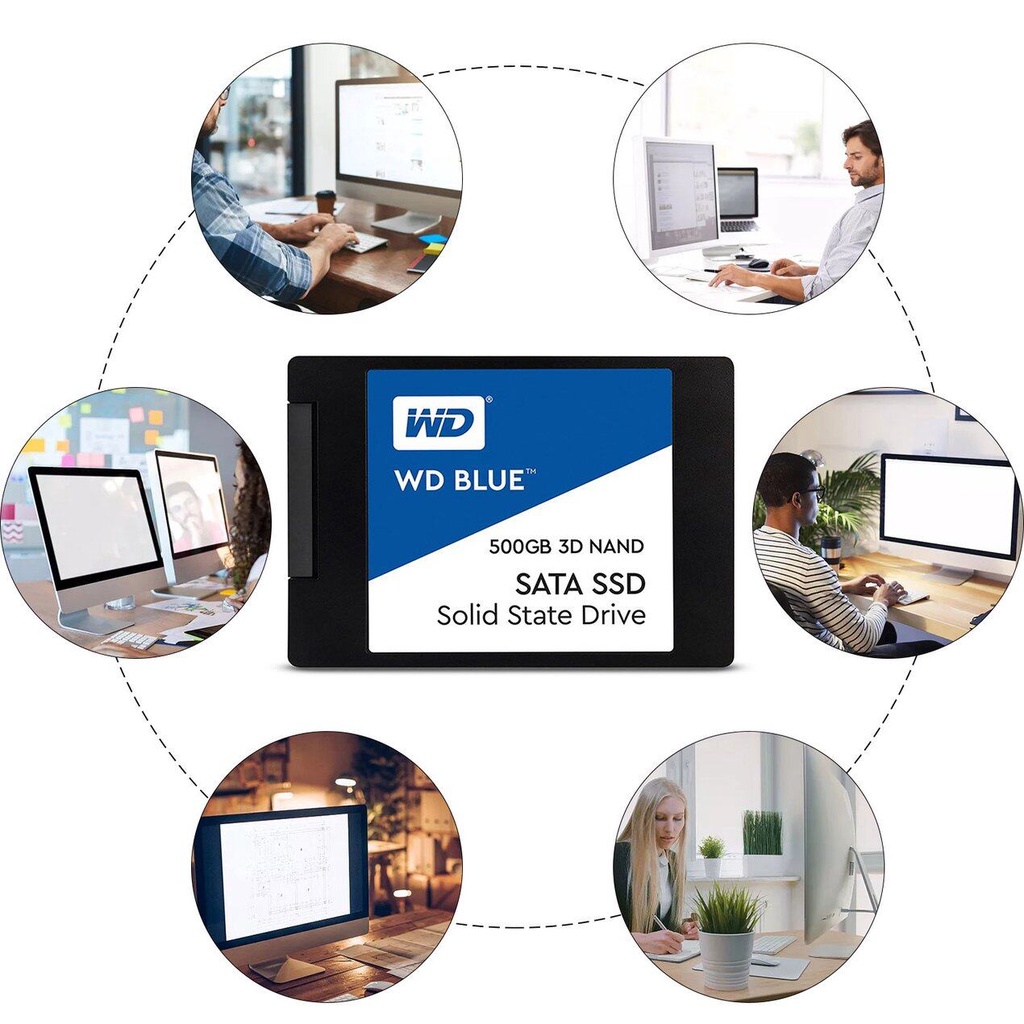(ส่งจากกรุงเทพ) Western Digital 250GB 500GB 1TB SSD (เอสเอสดี) WD BLUE ...