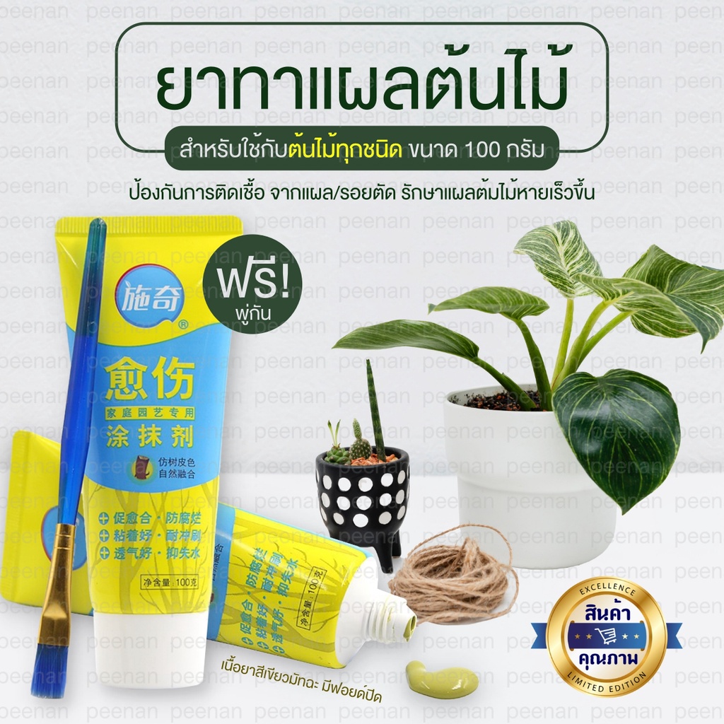 **พร้อมส่งยาทาแผลต้นไม้ ฟรีพู่กัน ขนาด 100 กรัม ป้องกันการติดเชื้อ ผสาน ...