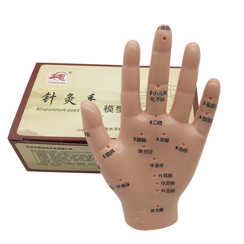 Boy Acupoint โมเดลมือขนาดเล็กและ Acupressure สําหรับเด็ก - missxwei1008 ...