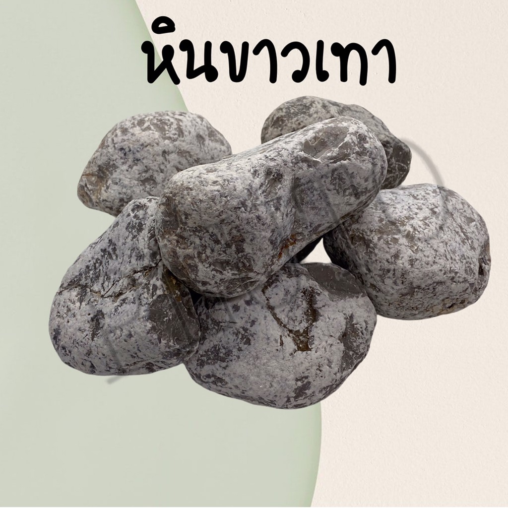 pluto.stone, ร้านค้าออนไลน์ | Shopee Thailand