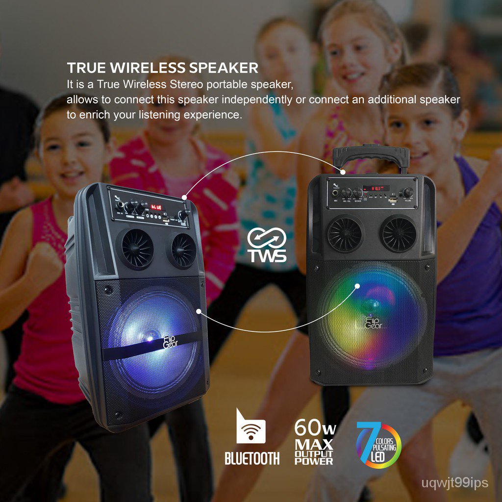 Vinnfier FlipGear Tango 211 WM TWS Wireless Portable Trolley Bluetooth Speaker with Karaoke FM ...