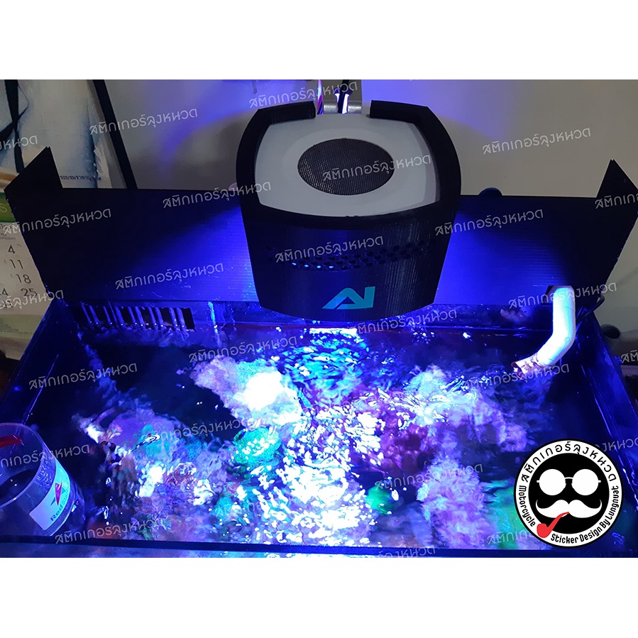 Prime 16 HD ถูกที่สุด พร้อมโปรโมชั่น ส.ค. 2025 | BigGoเช็คราคาง่ายๆ