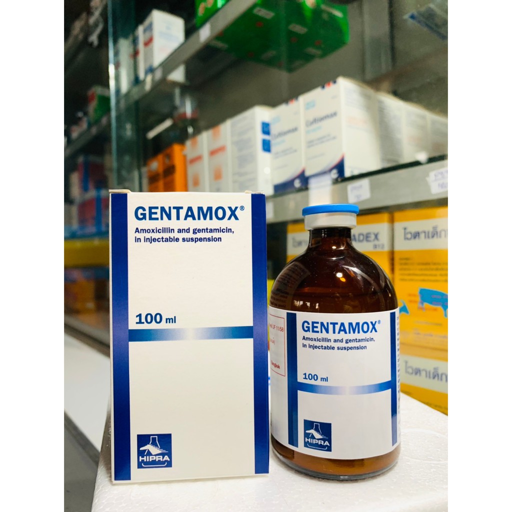 เจนต้าม็อก Gentamox 100ml - peebeery - ThaiPick