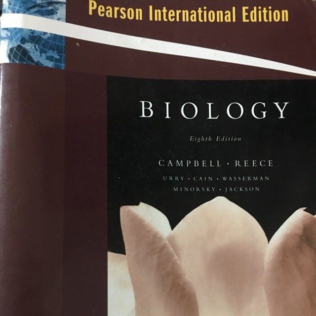 ซื้อลอนดอน - Campbell หนังสือกดดึง ดึง สไลด์บอร์ดหนังสือ - bms_surabaya ...