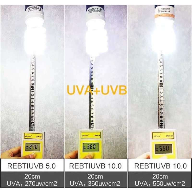 REBTI UVB 26W หลอดไฟ UVB 5.0 10.0 HO 26วัตต์ สำหรับเต่าบก เบียร์ดดรา ...