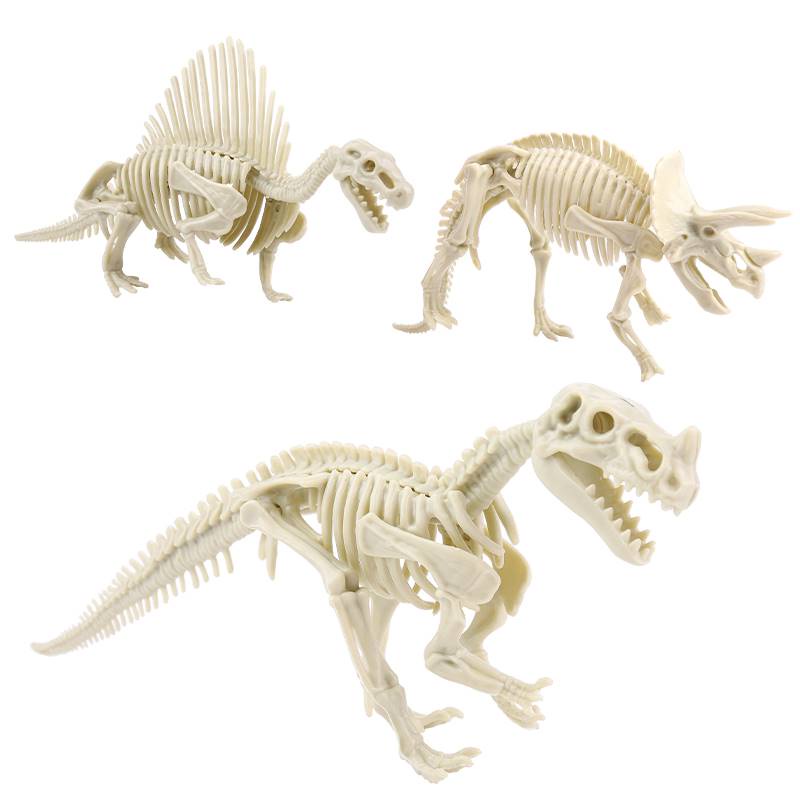 Animal archaeology dinosaur fossil dinosaur bone dragon skeleton model ...