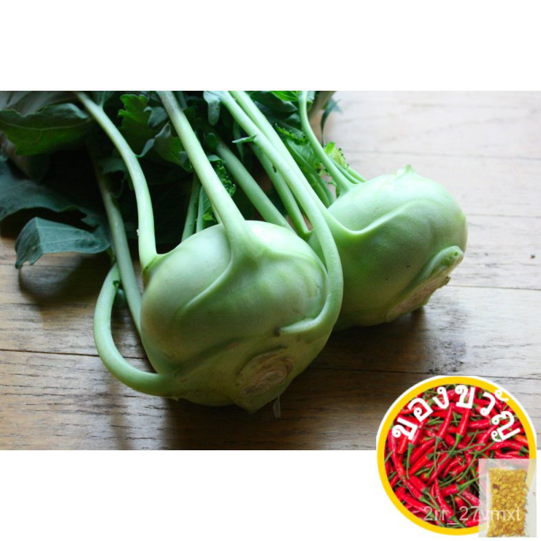 Kohl Rabi 1gram Seeds German Turnip Herbs Plants Seeds Supplies ...