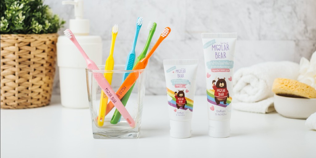 MOLAR BEAR, ร้านค้าออนไลน์ | Shopee Thailand