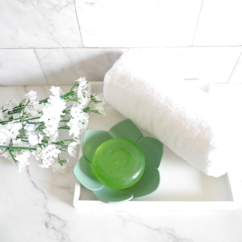 Derma Vista Emerald Green Clarifying Facial Soap สบู่ล้างหน้า สบู่กลีเ ...