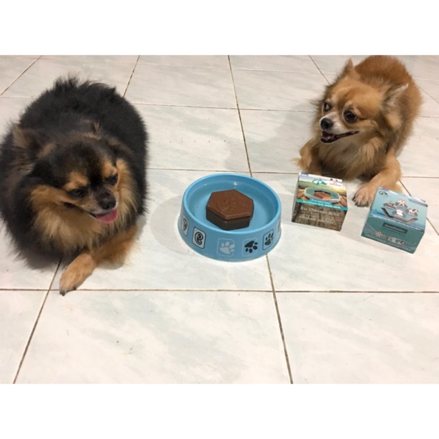 ก้อนสมุนไพรกลัมภา KALAMPA | Shopee Thailand