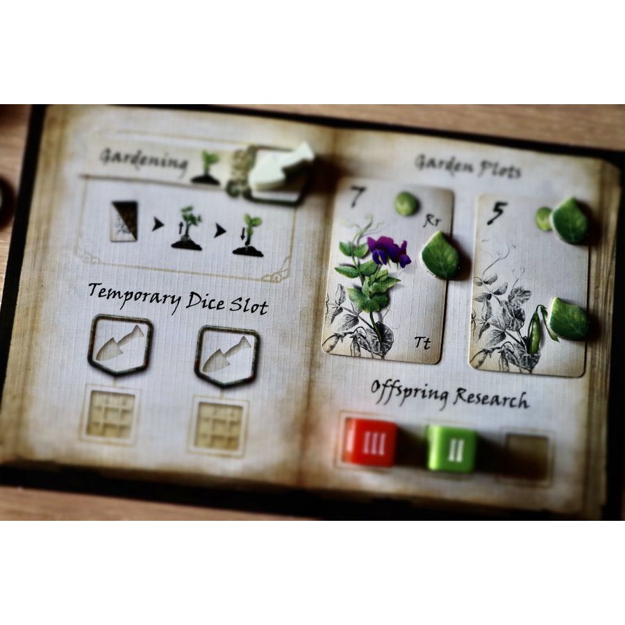 Genotype A Mendelian Genetics Game Standard Edition (EN) - Board Game ...