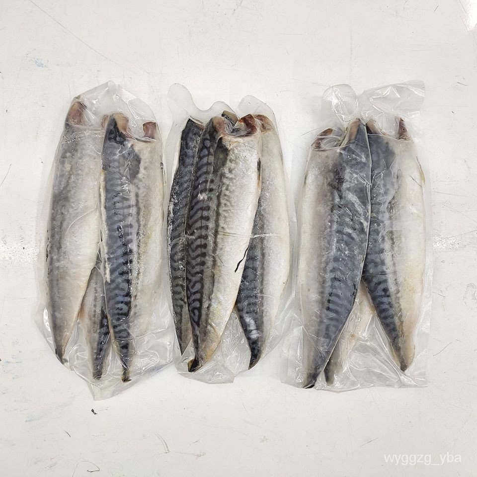 3pcs Norway Saba Mackerel Fillet 500gm - (Vacuum Packed) นอร์เวย์ปลาทู ...