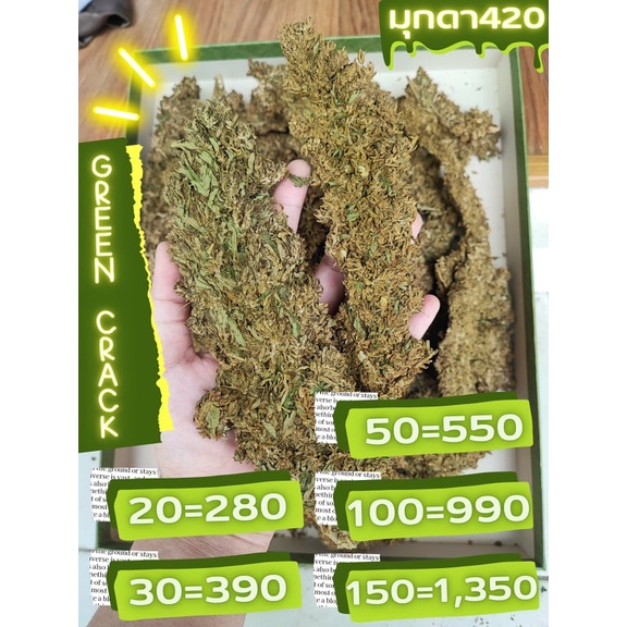 ช่อดอกกัญ OG กัญ 20g 30g 50g 100g 150g กรีนแคร็ก ทีเด็ด ดอกกันชา Green Crack ช่อดอกกัญ อัดแท่ง ...