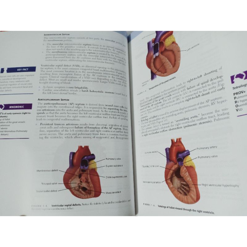 First Aid for the Basic Sciences Organ Systems 2nd Edition - sarunyapinprechachai - ThaiPick