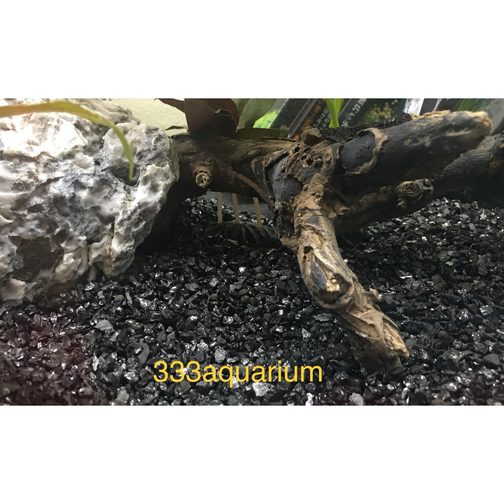 GEX หินแร่ธรรมชาติสีดำ ( Pure Black 2L) - jenn3667 - ThaiPick