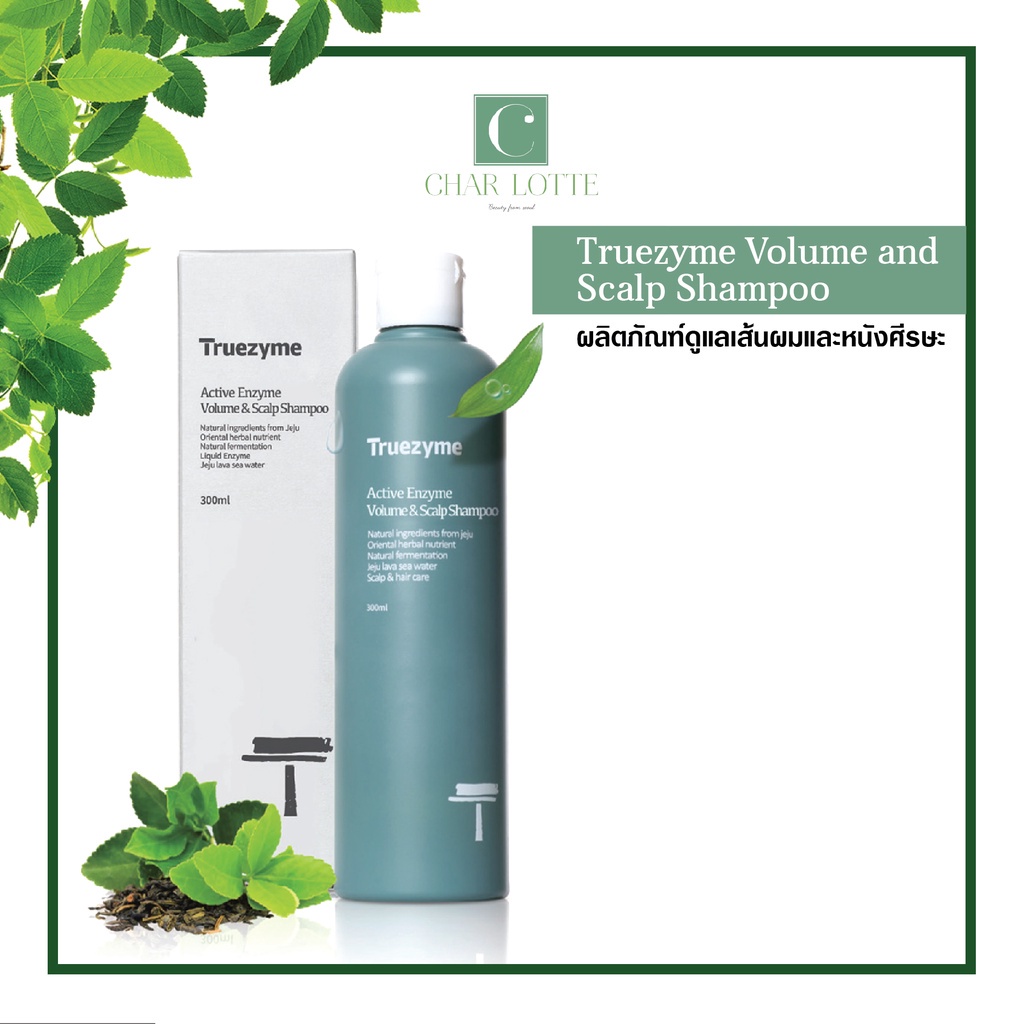 Charlotte Seoul] Truezyme Volume and Scalp Shampoo 300ml #แชมพู #ผมร่วง ...