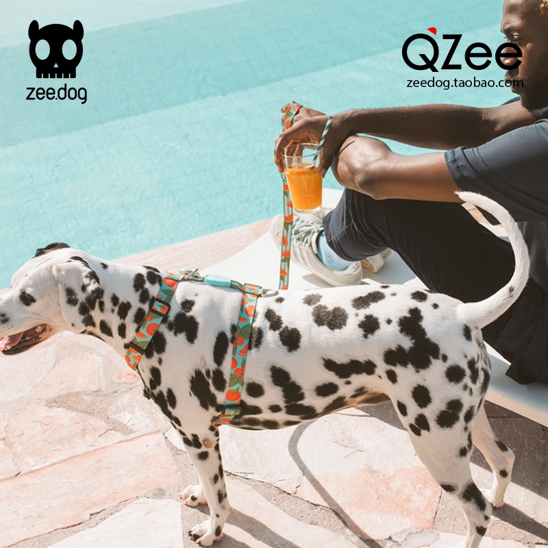 ↻ャการข่ม สุนัข qzee dog แห่งประเทศอัฟกานิสถาน - akkjbs - ThaiPick