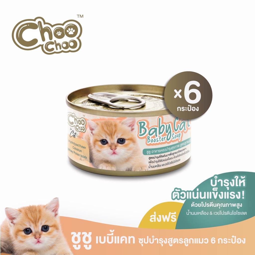 dai miao zou cat ราคาพิเศษ | ซื้อออนไลน์ที่ Shopee ส่งฟรี*ทั่วไทย!