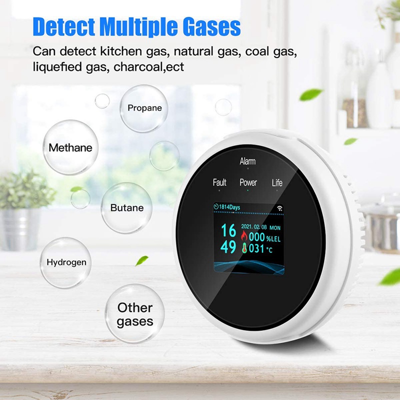 WiFi Natural Gas Detector for LPG LNG, Intelligent US Plug ICCg | Shopee Thailand