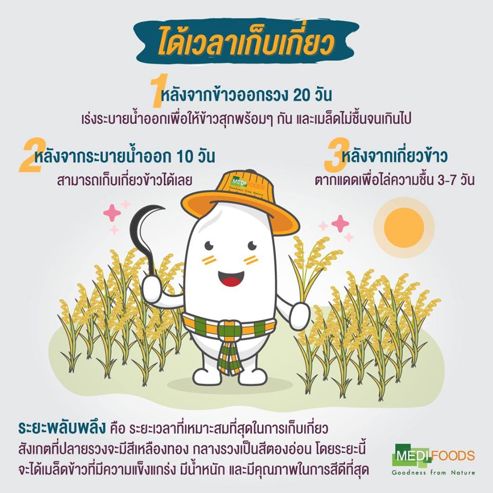 ฮักปันยกลัง (4ถุง) ข้าวหอมเบอร์รี่ ขนาดบรรจุ 5 กก (Hugpun Berry Rice 5 ...