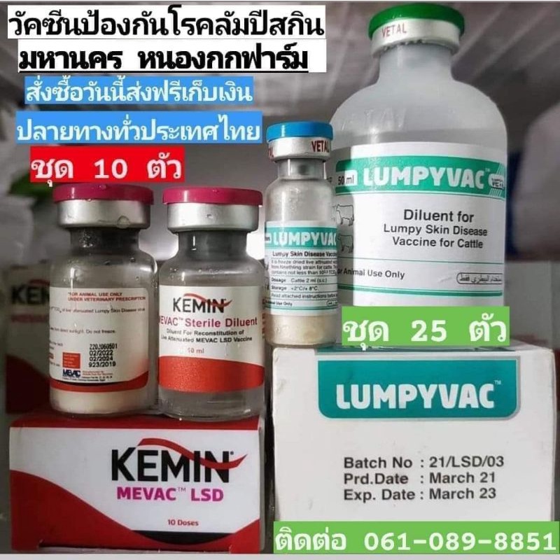 วัคซีนลัมปีสกิน วัคซีนป้องกันโรคลัมปีสกิน วัคซีนวัวควาย Lumpyvax 25 ตัว ...