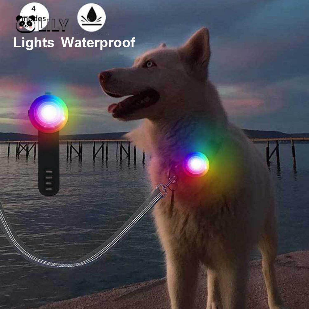 LILY Accessories LED Pet Dog Collar Pendant Camping Glowing Night ...