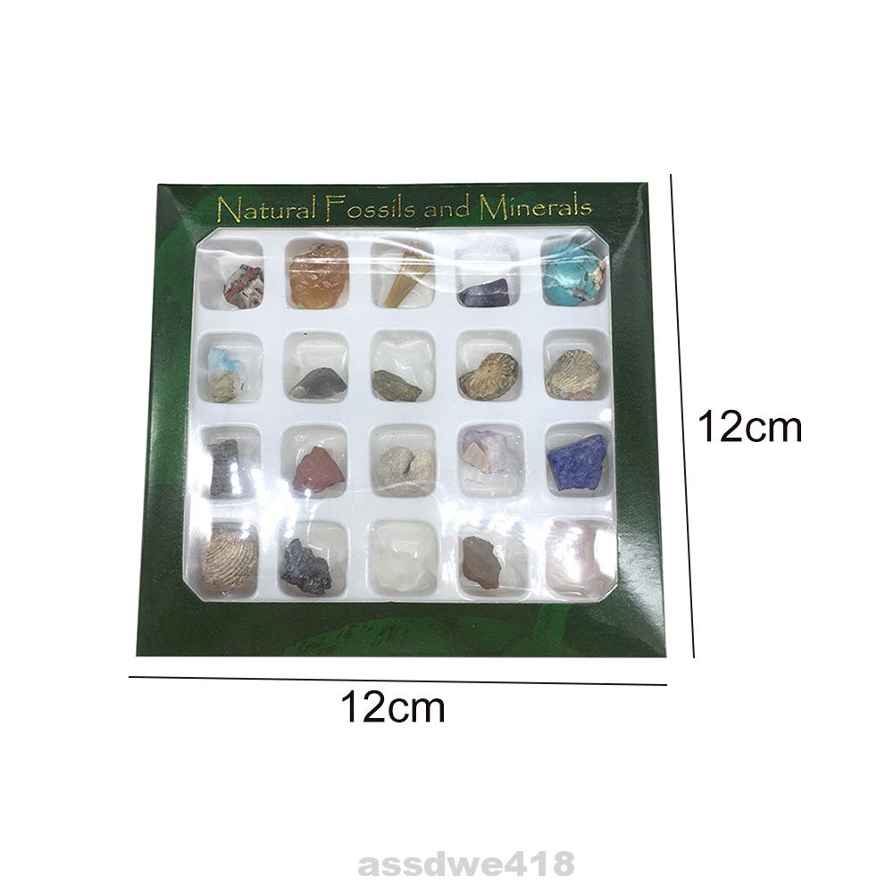 Craft Durable Ornament Teaching Materials Useful Ore Set - assdwe418.th ...