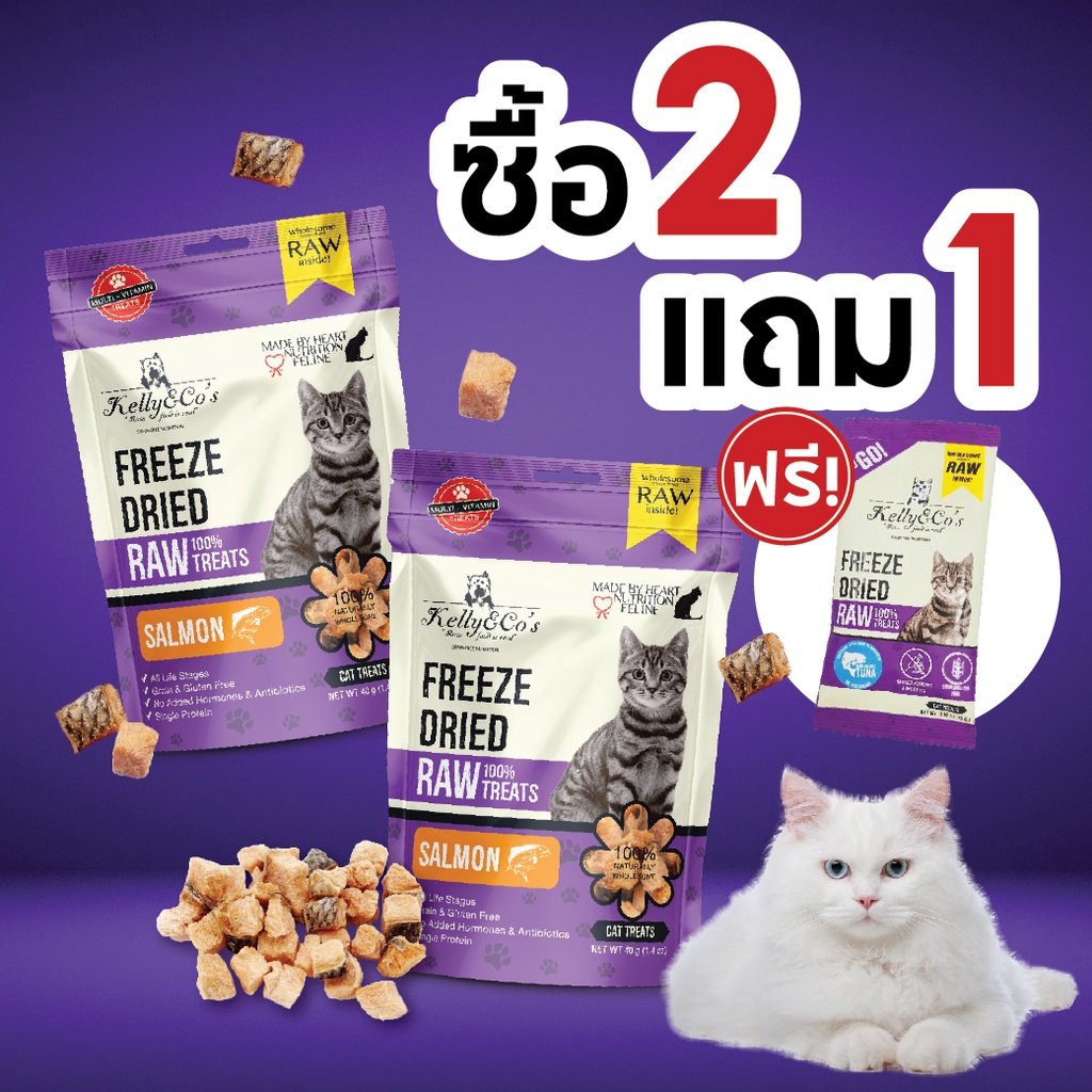 2 แถม 1 Kelly Cos ขนมฟรีซดราย 40 กรัม ฟรีซดรายแซลมอน 2 ถุง แถม ฟรีซดราย ...