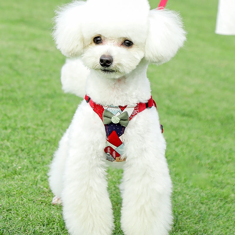 น้องหมา Corgi คอร์กี้ เซรามิกตั้งโชว์ - nipponetc - ThaiPick