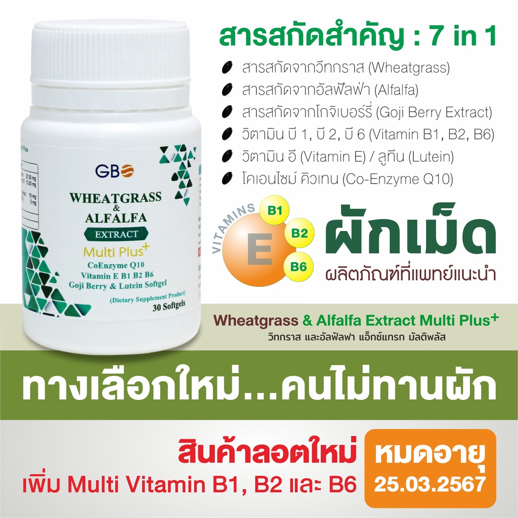 โปร 4 กระปุก 120 เม็ด ผักเม็ด Wheatgrass Alfalfa Extract Multi Plus Q10 (ฟรีค่าส่ง) - ezasignz ...