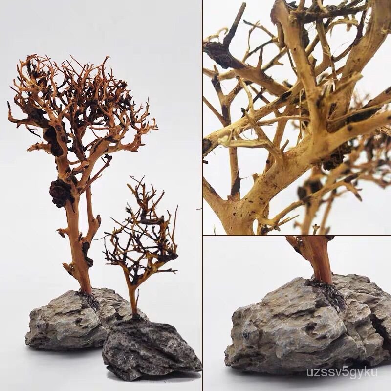 Wood Fish Tank Driftwood Natural Moss Tree Purple Teak Trunk Driftwood ...