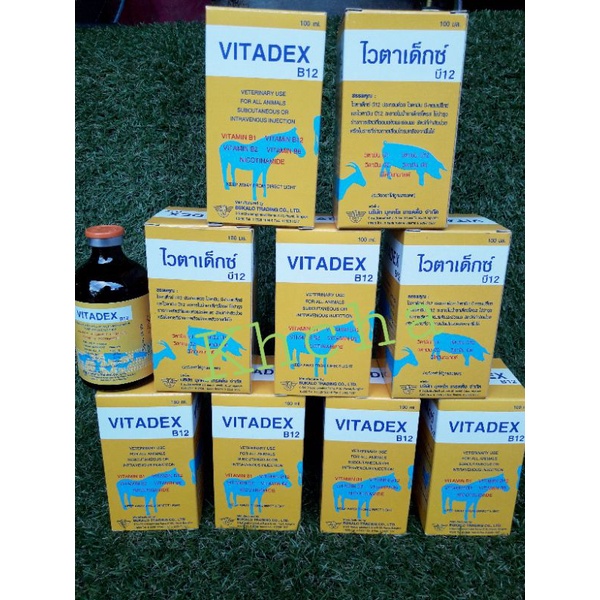 ไวตาเด็กซ์ บี12 VITADEX B12 100ml. - big_banksg - ThaiPick