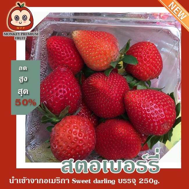 สตอเบอรี่นำเข้า จากอเมริกา Strawberry USA Sweet darling ราคาถูกพิเศษ ...