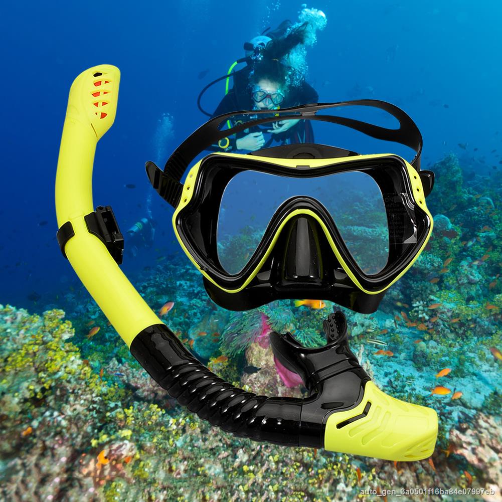 Professional Scuba Diving Masks Snorkeling Adult Anti Fog Goggles ...